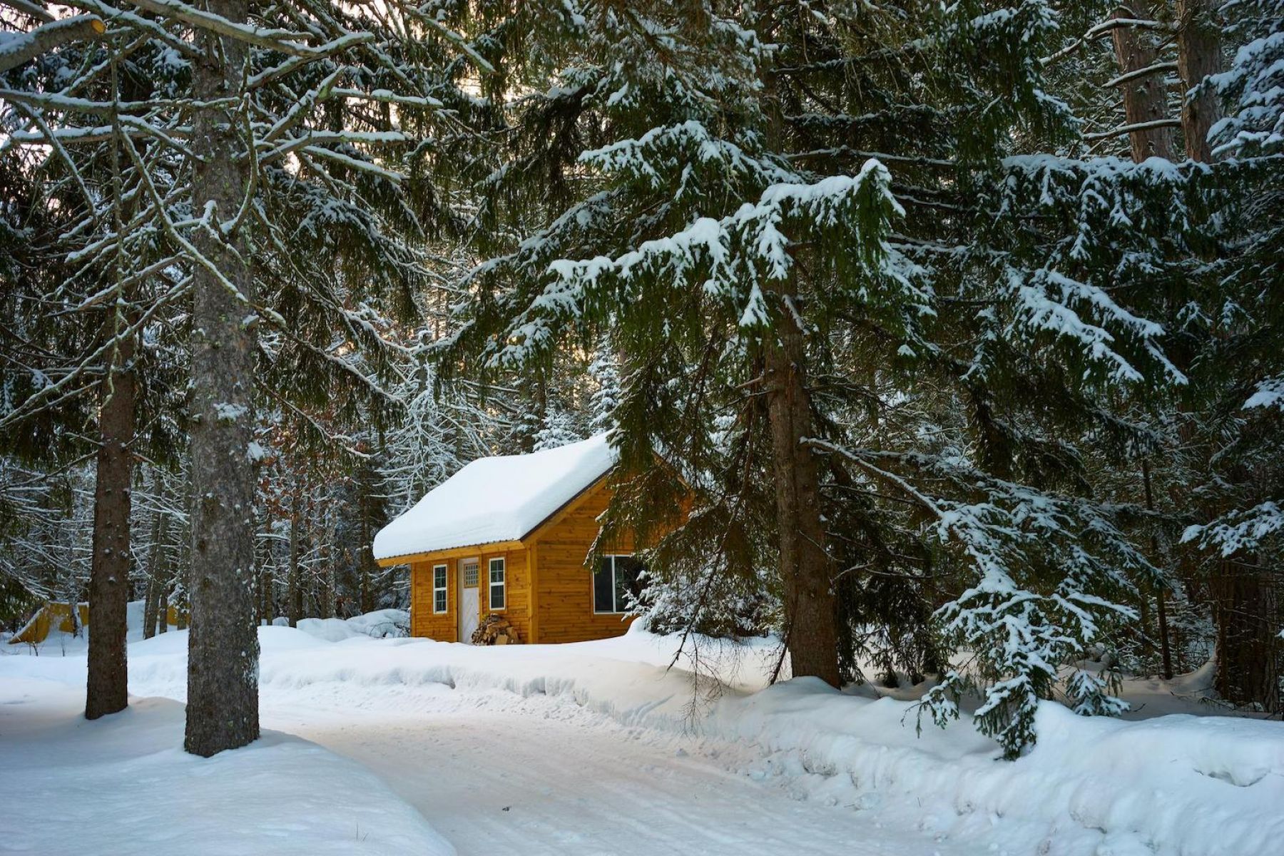Dit zijn de eerste beelden van 'Winter Vol Liefde' | TVvisie